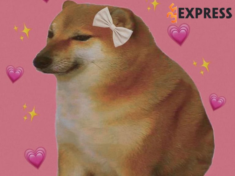 Meme Bonk (Cheems) là gì? Ý nghĩa đằng sau meme nổi tiếng trên MXH