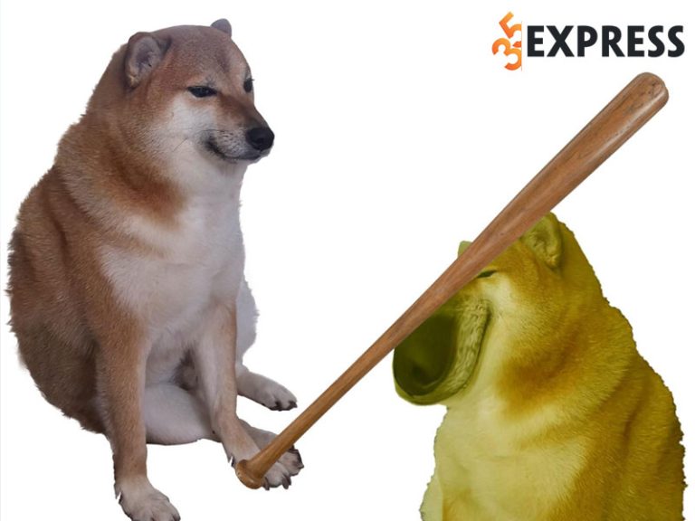 Meme Bonk (Cheems) là gì? Ý nghĩa đằng sau meme nổi tiếng trên MXH