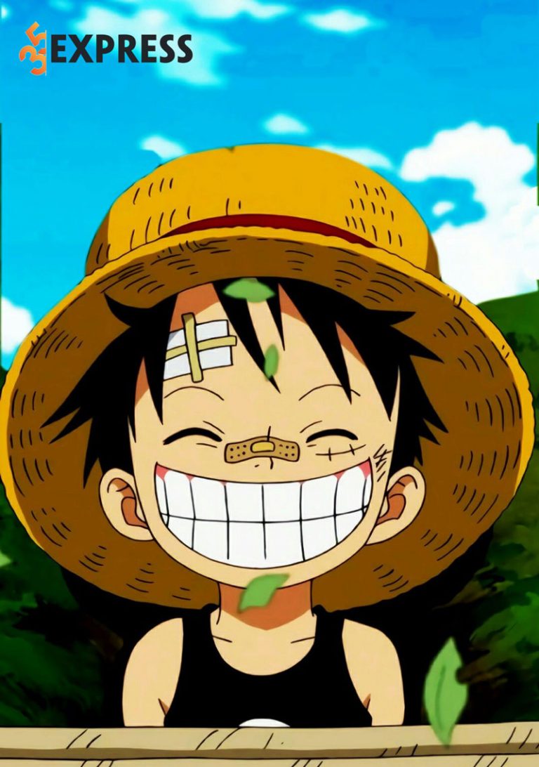 Monkey D.Luffy là ai? Chi tiết tiểu sử, sức mạnh và tính cách | 35Express