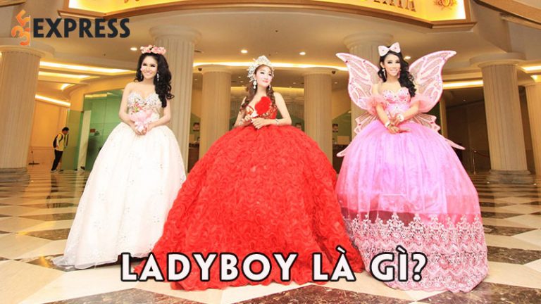 Ladyboy là gì? Tìm hiểu chi tiết về Ladyboy | 35Express