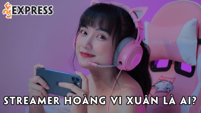 Streamer Zyzy là ai? Streamer Hoàng Vi Xuân bị bắt vì buôn bán mai thúy