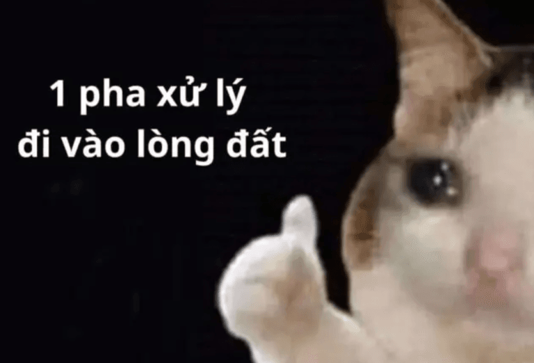 Meme mèo khóc like là gì? Tổng hợp mẫu meme mèo khóc like hot