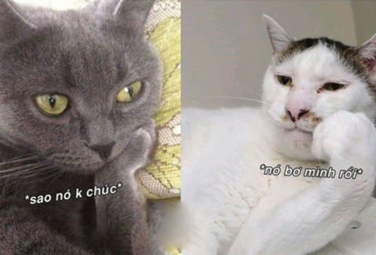Meme chúc ngủ ngon là gì? Tổng hợp các meme ngủ ngon ý nghĩa, dễ thương