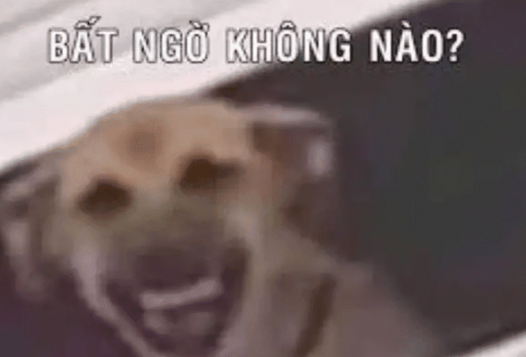 Meme bất ngờ là gì? Tổng hợp meme bất ngờ hài hước, ấn tượng và thú vị